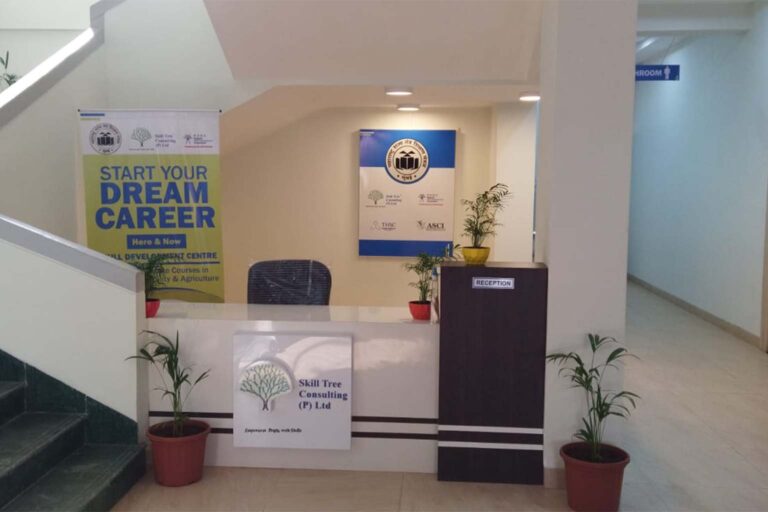 India’s leading skill development provider | SkillTree Consulting